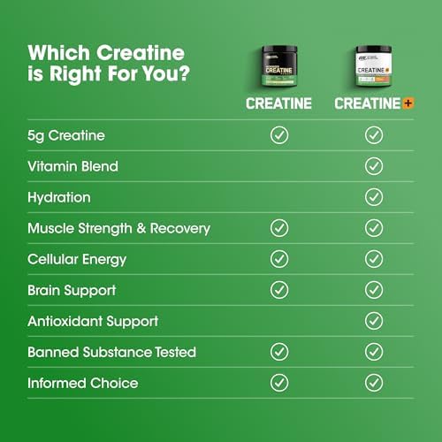 Optimum Nutrition Micronized Creatine Monohydrate Powder, Unflavored ...